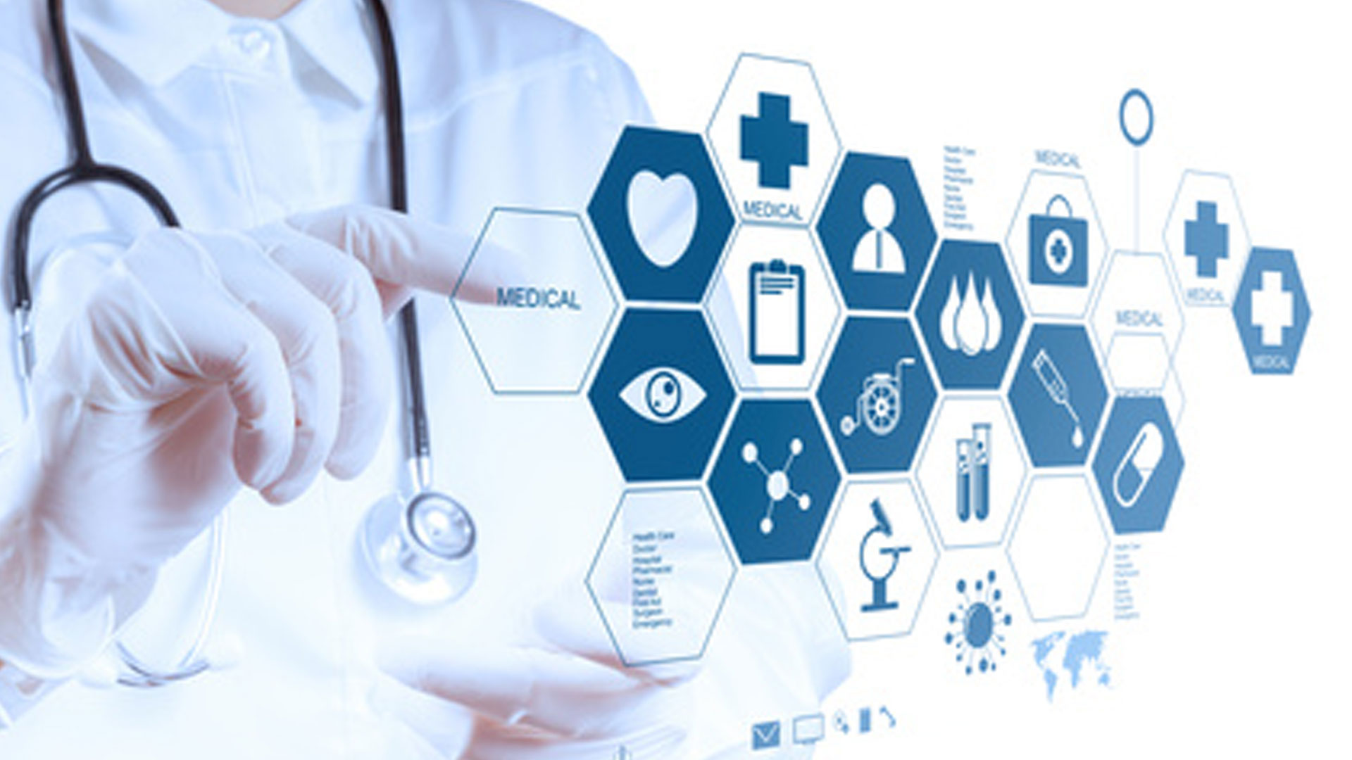 Full-service Clinical Trials for registration